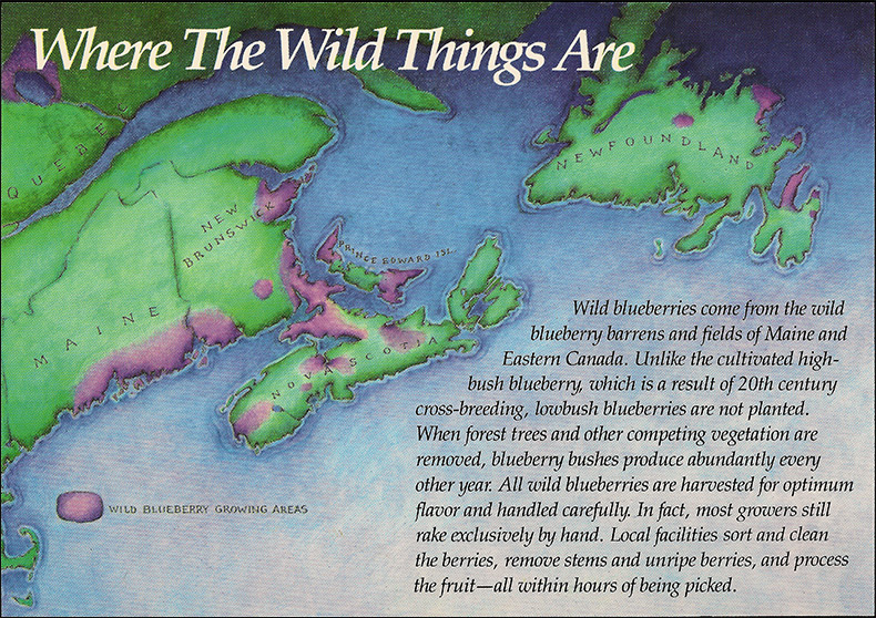 Anne Hunter Studio – Artist, Author, and Illustrator